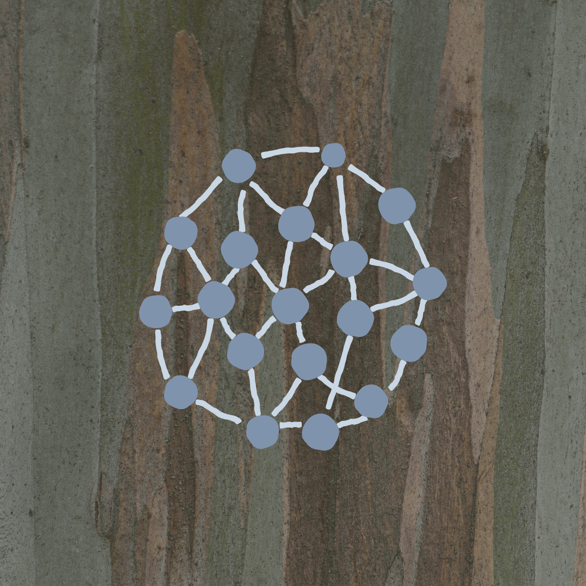 Open Source VC | Airtree Ventures